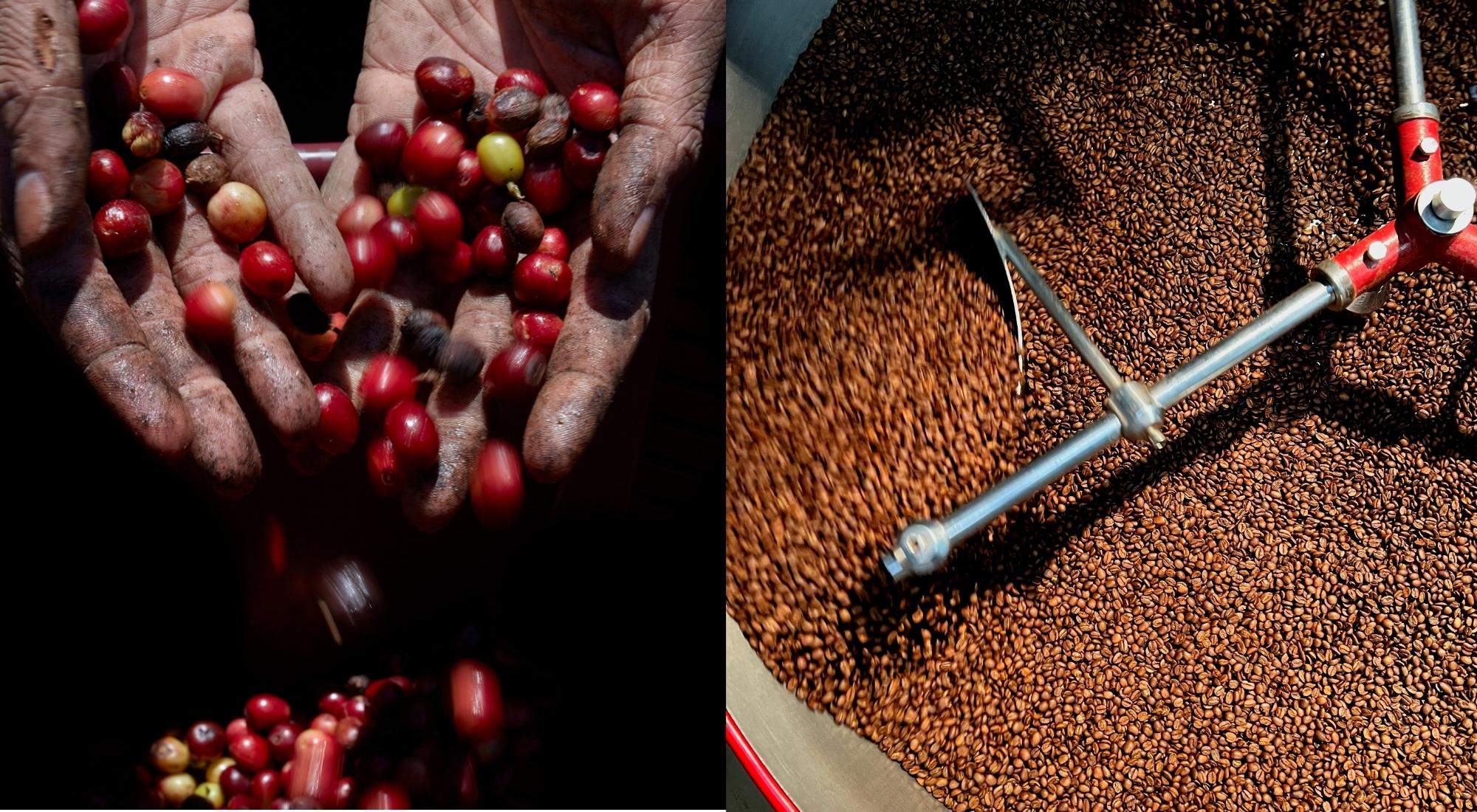 Community – Cortez Coffee Roasters