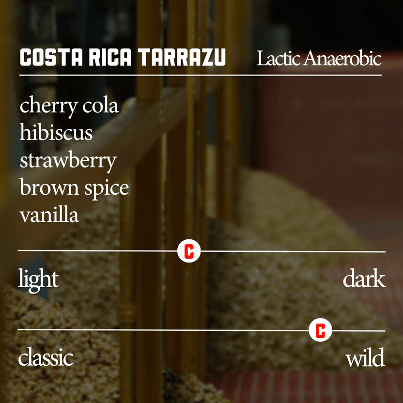 Cortez Coffee - Buy Coffee Beans Online - Coffee Roaster in Arizona – Cortez Coffee Roasters