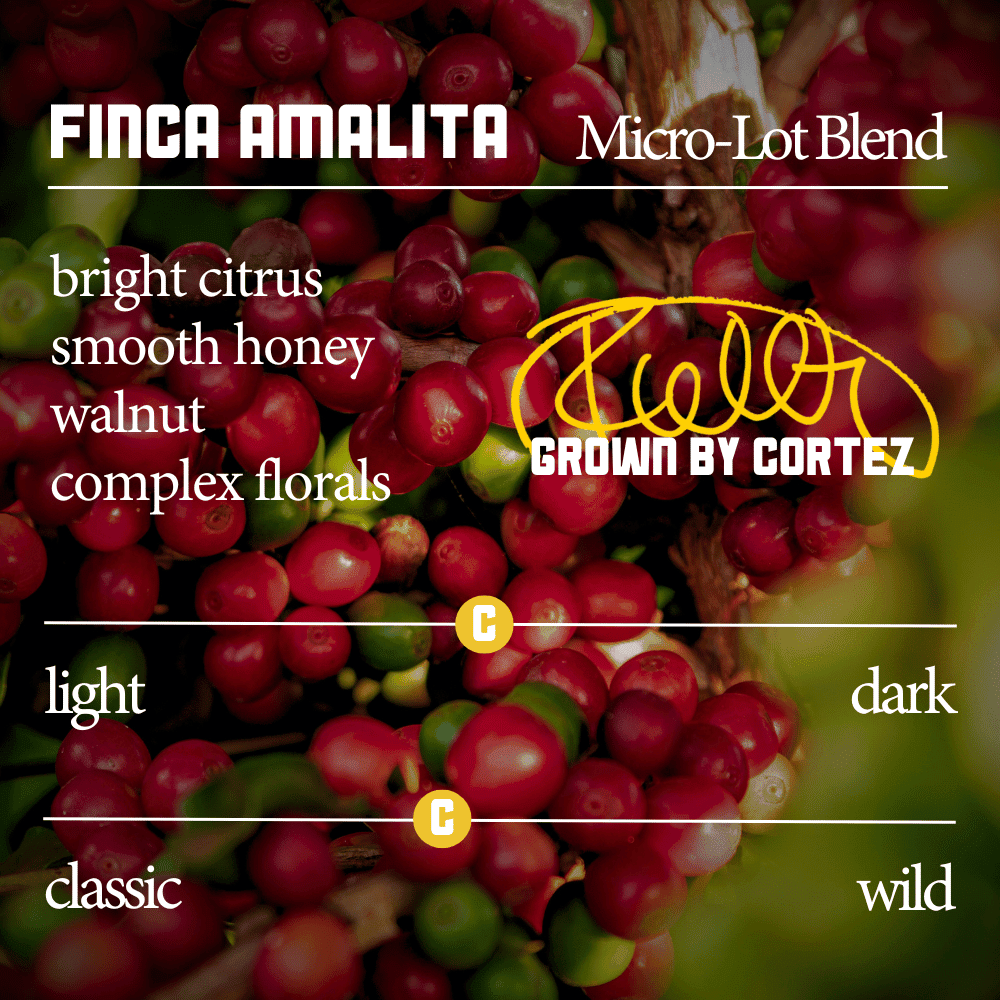 Cortez Coffee - Buy Coffee Beans Online - Coffee Roaster in Arizona ...