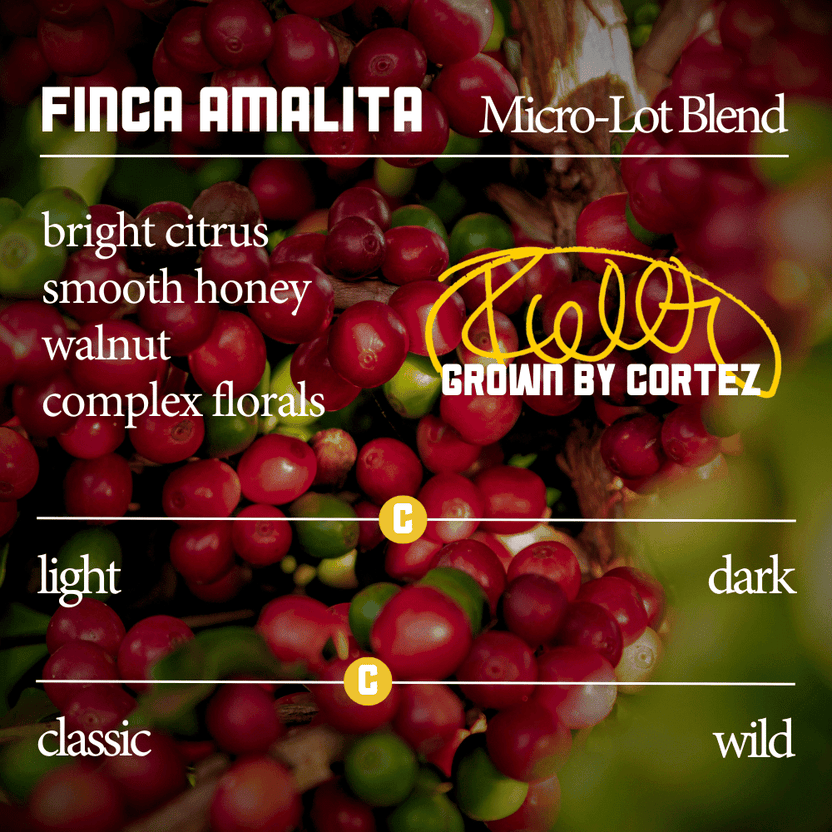 Cortez Coffee - Buy Coffee Beans Online - Coffee Roaster in Arizona – Cortez Coffee Roasters