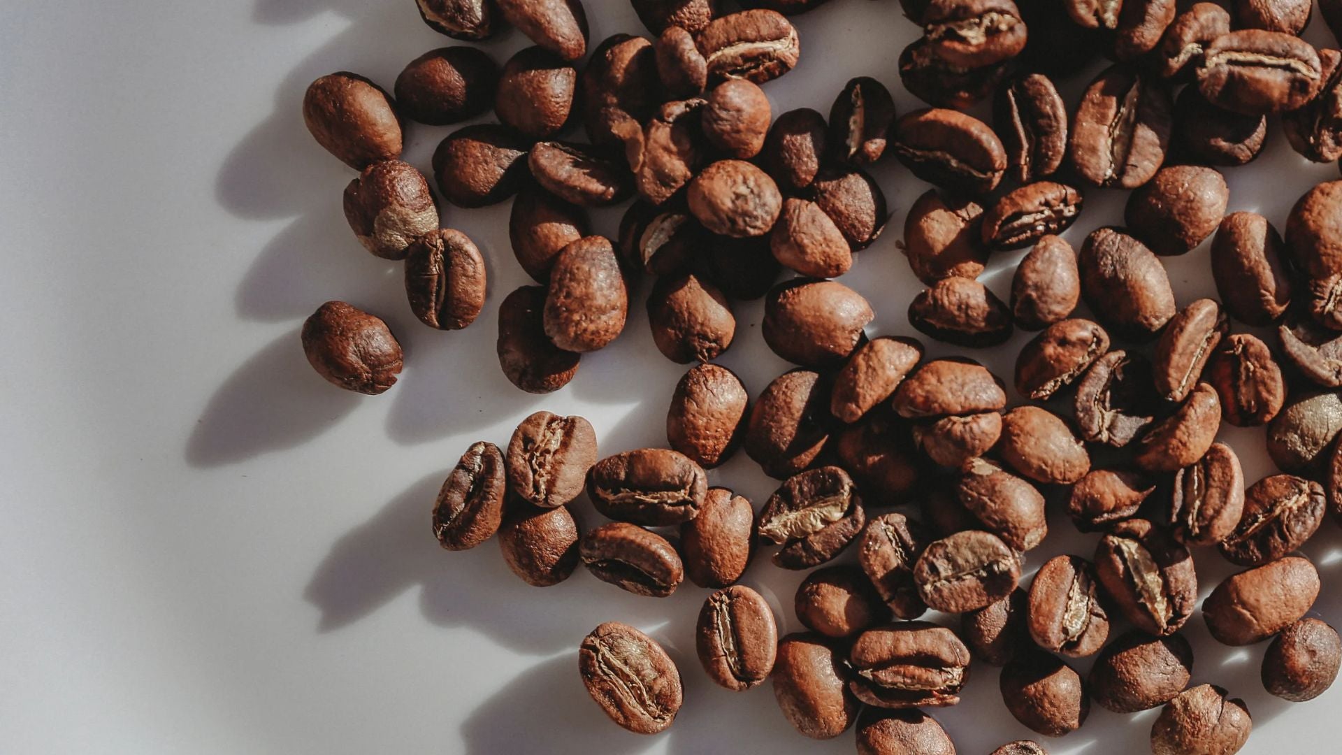 Cortez Coffee - Buy Coffee Beans Online - Coffee Roaster in Arizona ...