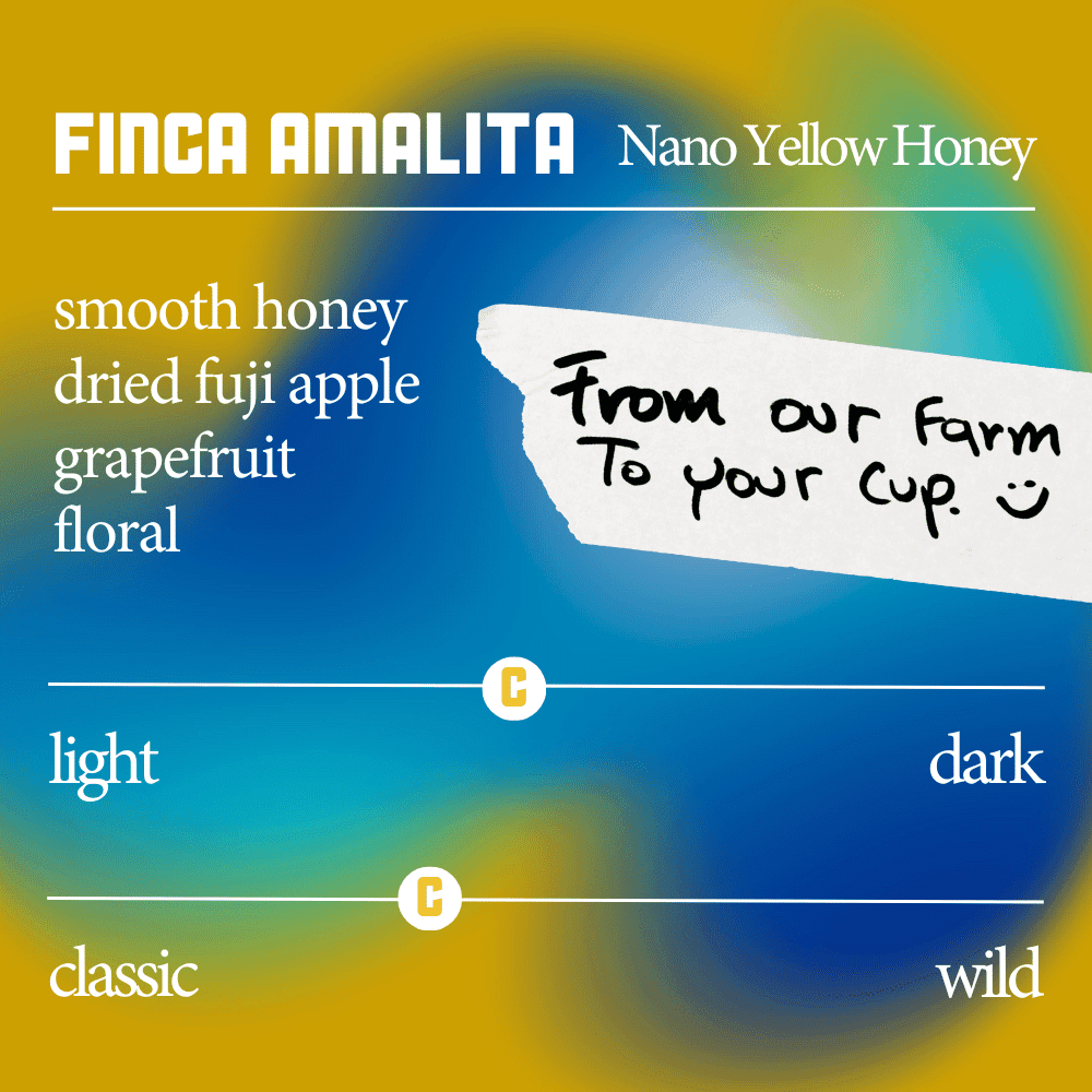 Buy Specialty Coffee Online - Freshly Air Roasted - Cortez Coffee ...